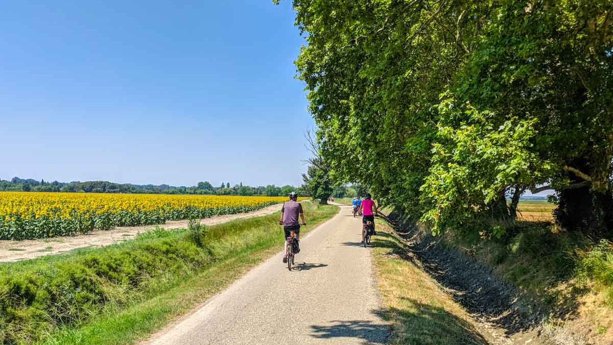 The Best Cycling Tours In Europe For 2021 | Freedom Treks
